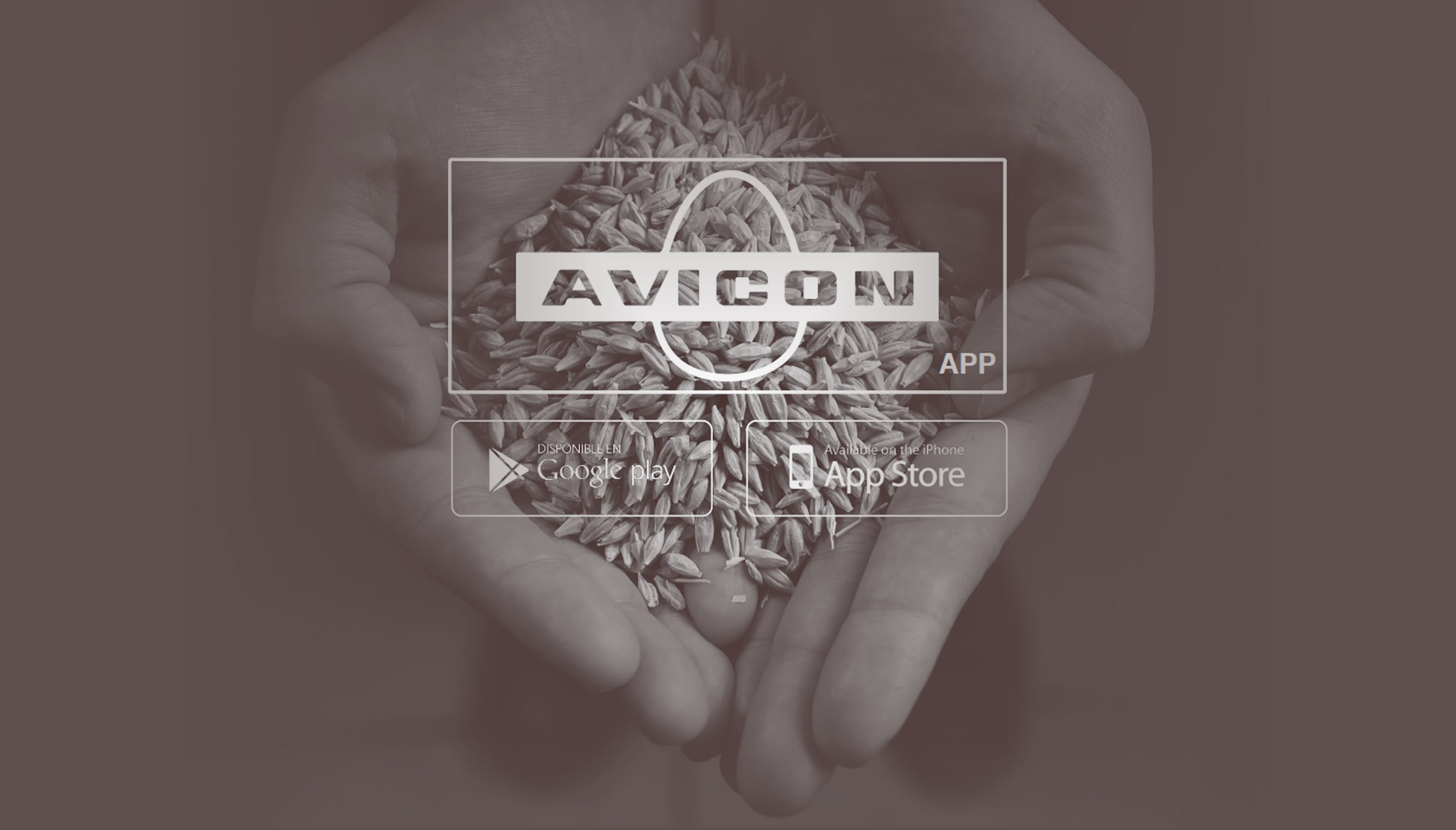 Avicon